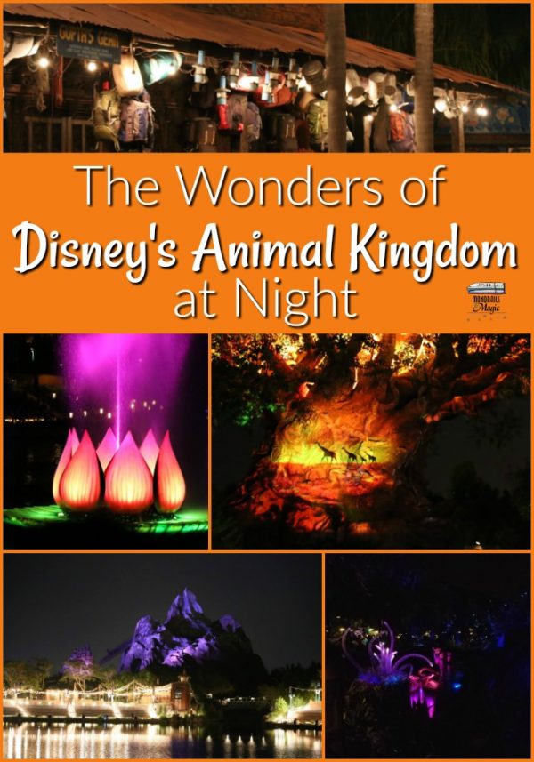 The Wonders of Disney's Animal Kingdom at Night - Monorails and Magic