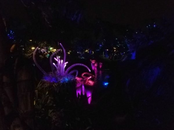 The Wonders of Disney's Animal Kingdom at Night - Monorails and Magic